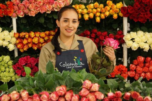 Flowers Cultivation in Colombia - a little bit of Floriculture History