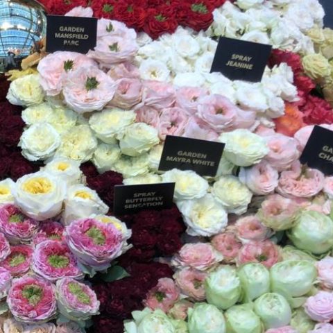 Why do you need a Flower Quality Control - five solid reasons why