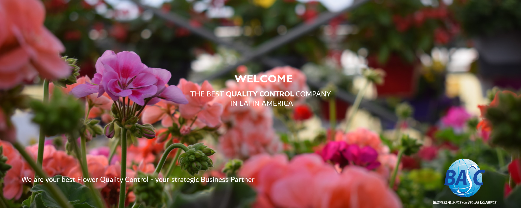 High Control Group - Flower Quality Control and Inspection