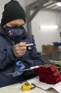 High Control Group - Flower Quality Control and Inspection