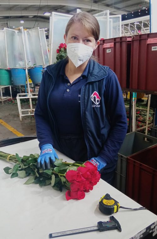 High Control Group - Flower Quality Control and Inspection